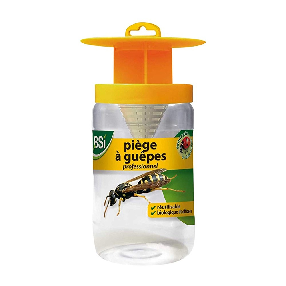 10 Astuces Faciles Pour Un Piège À Guêpes Maison – NZCA