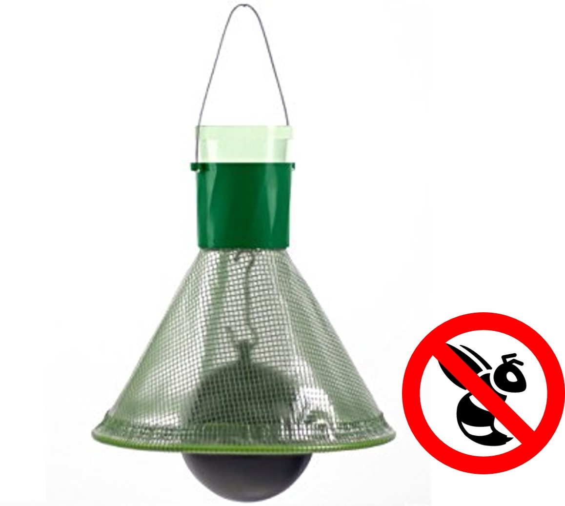 Piege a guepe et taon écologique