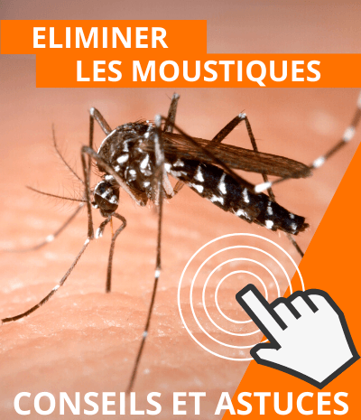 ANTI MOUSTIQUE extérieur | 100% efficace